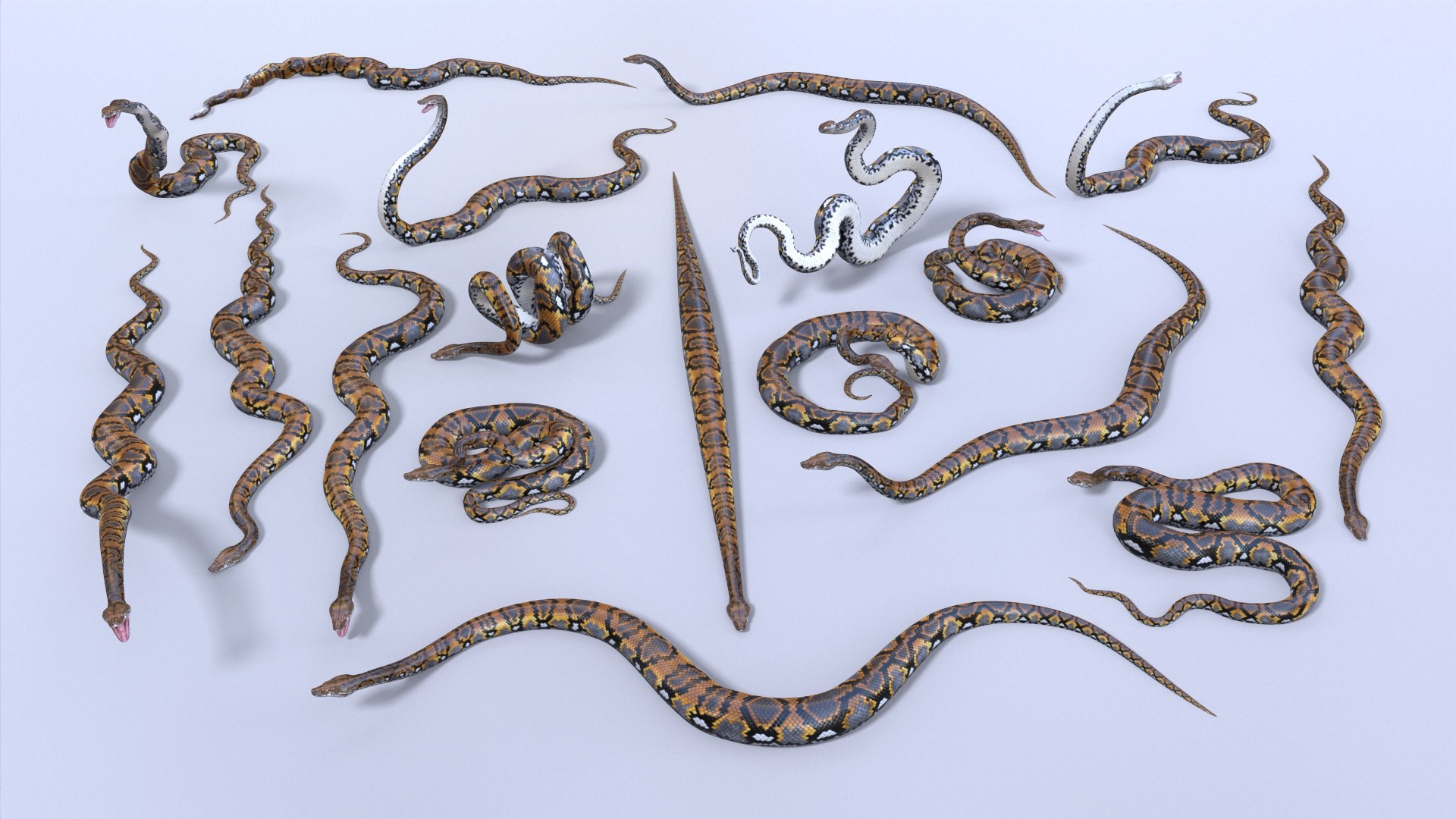 3D Reticulated Python - Rigged - TurboSquid 1842287