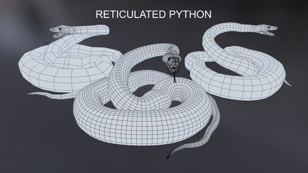 modelo 3d Python reticulado - Rigged - TurboSquid 1842287