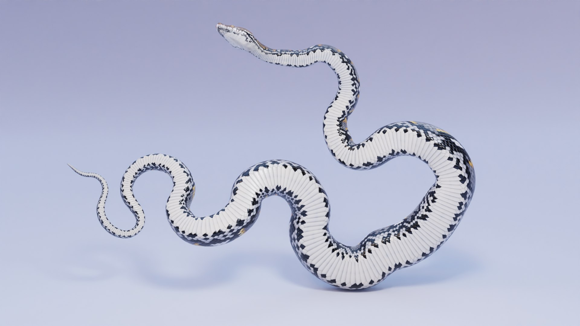 3D Reticulated Python - Rigged - TurboSquid 1842287