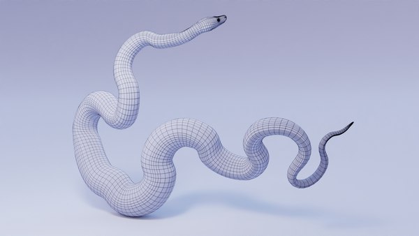 3D Reticulated Python - Rigged - TurboSquid 1842287