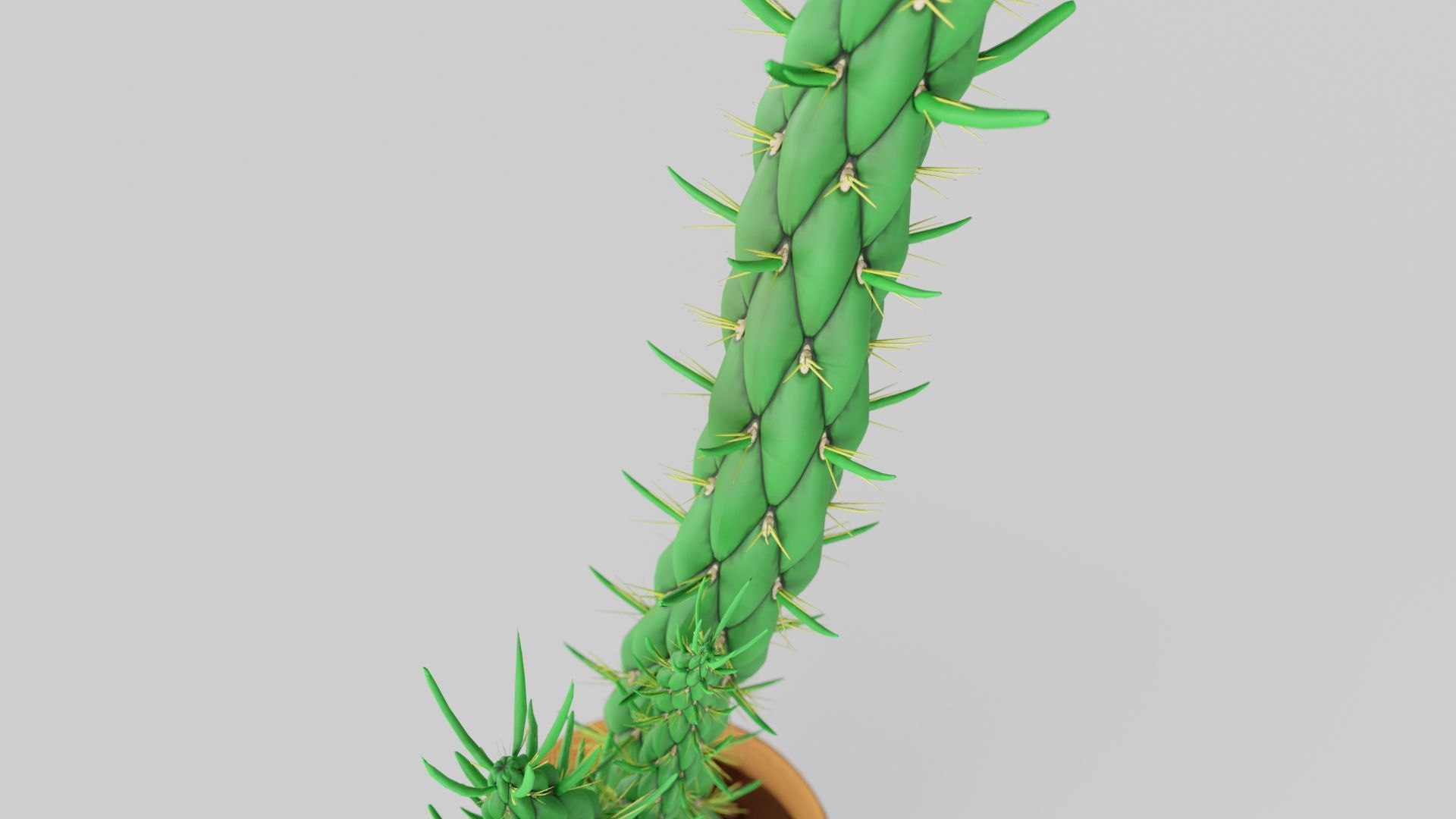 Opuntia Cactus Model - TurboSquid 1822595