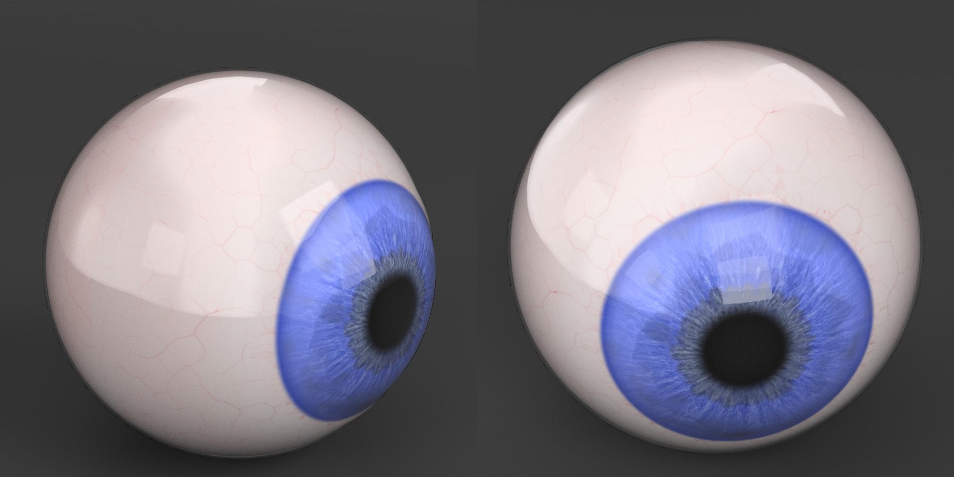 3D Human Eyeball Model - TurboSquid 1476551