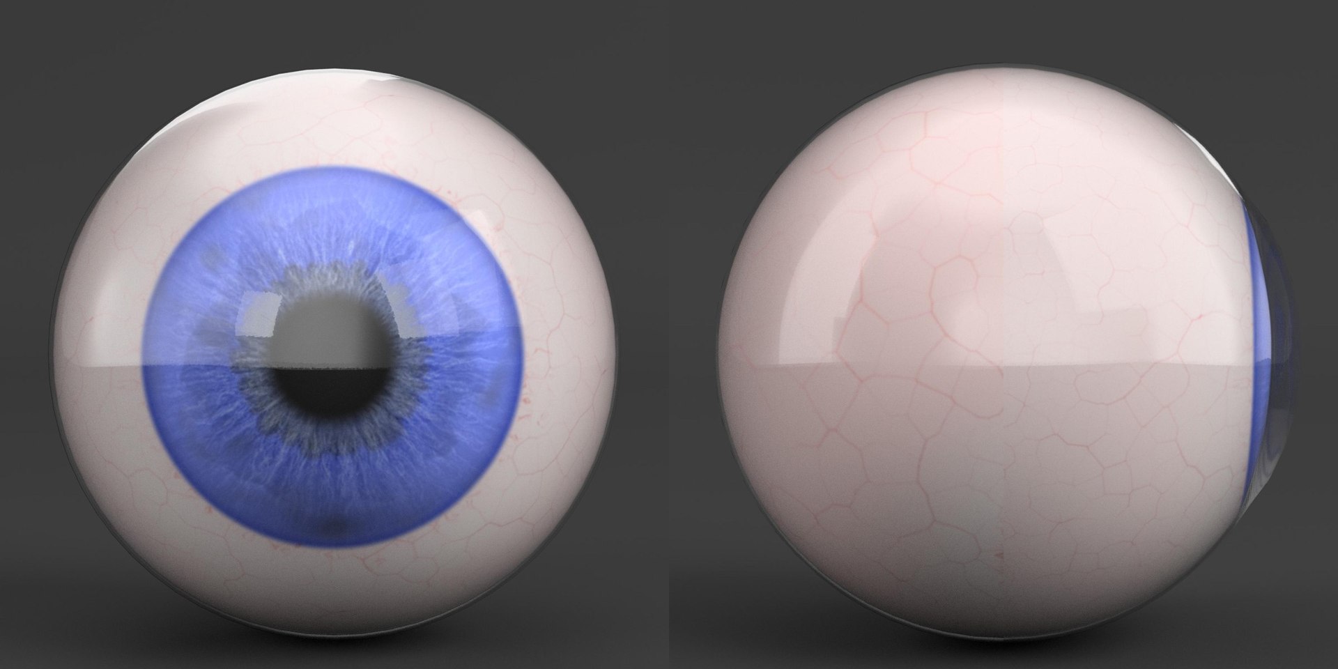 3D Human Eyeball Model - TurboSquid 1476551