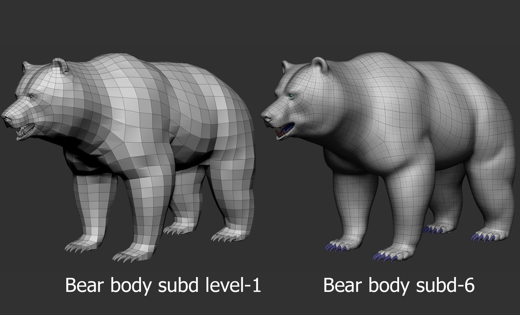 Brown Bear Base Mesh 3D Model - TurboSquid 1428309