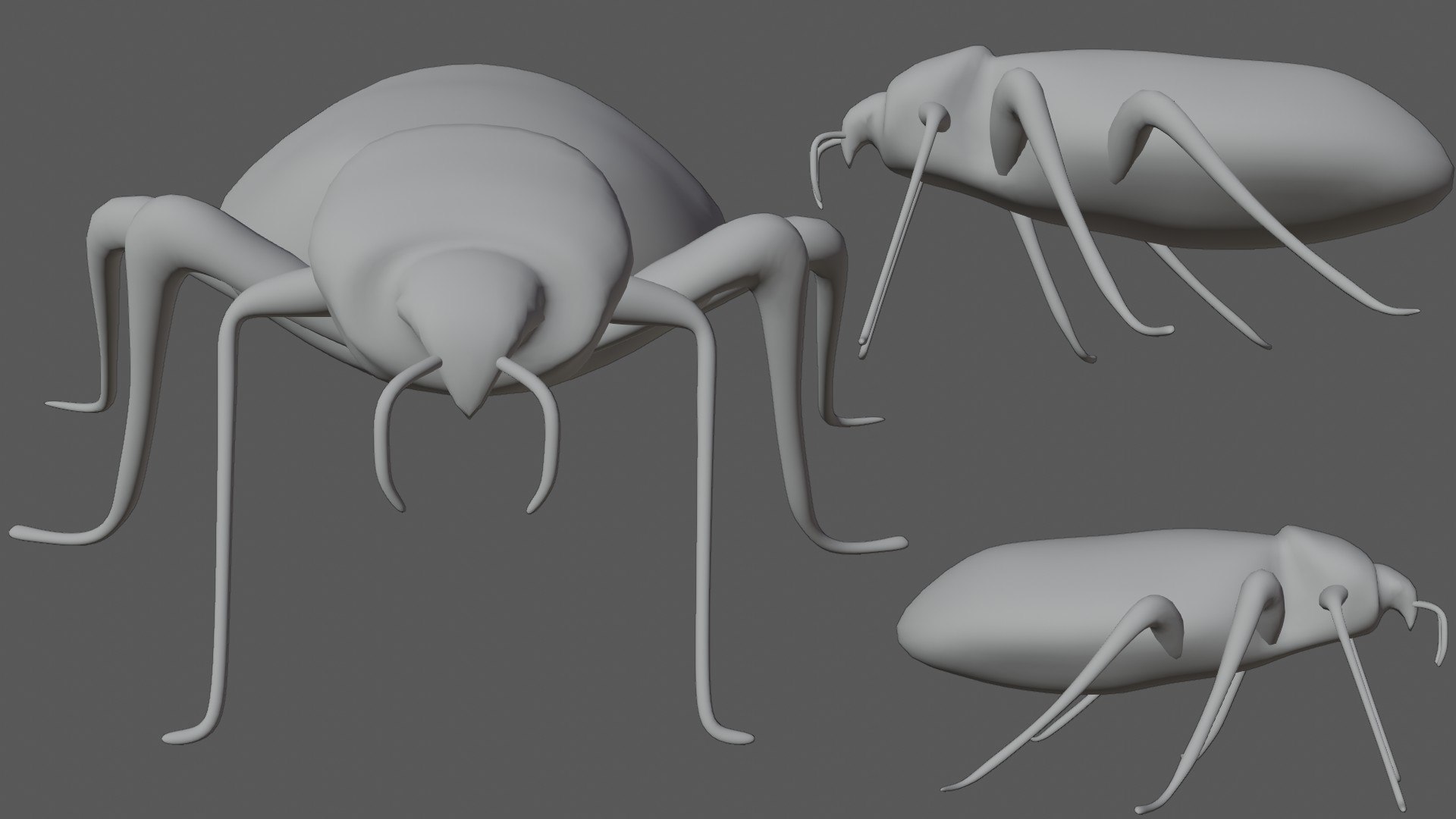 Fully Rigged Low Poly Bedbug 3D Model - TurboSquid 1732979