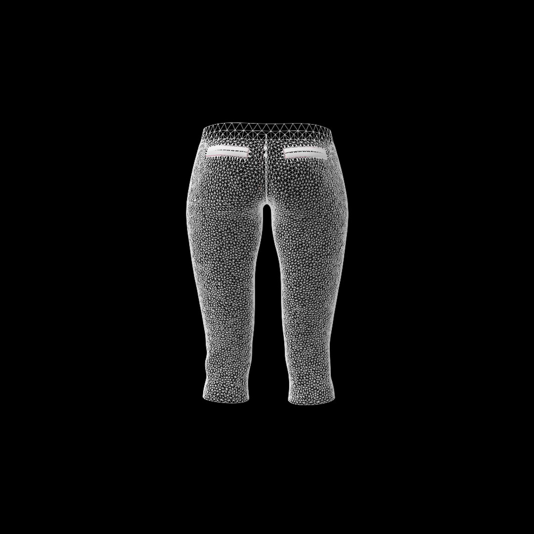 Women pants 3D model - TurboSquid 1375096