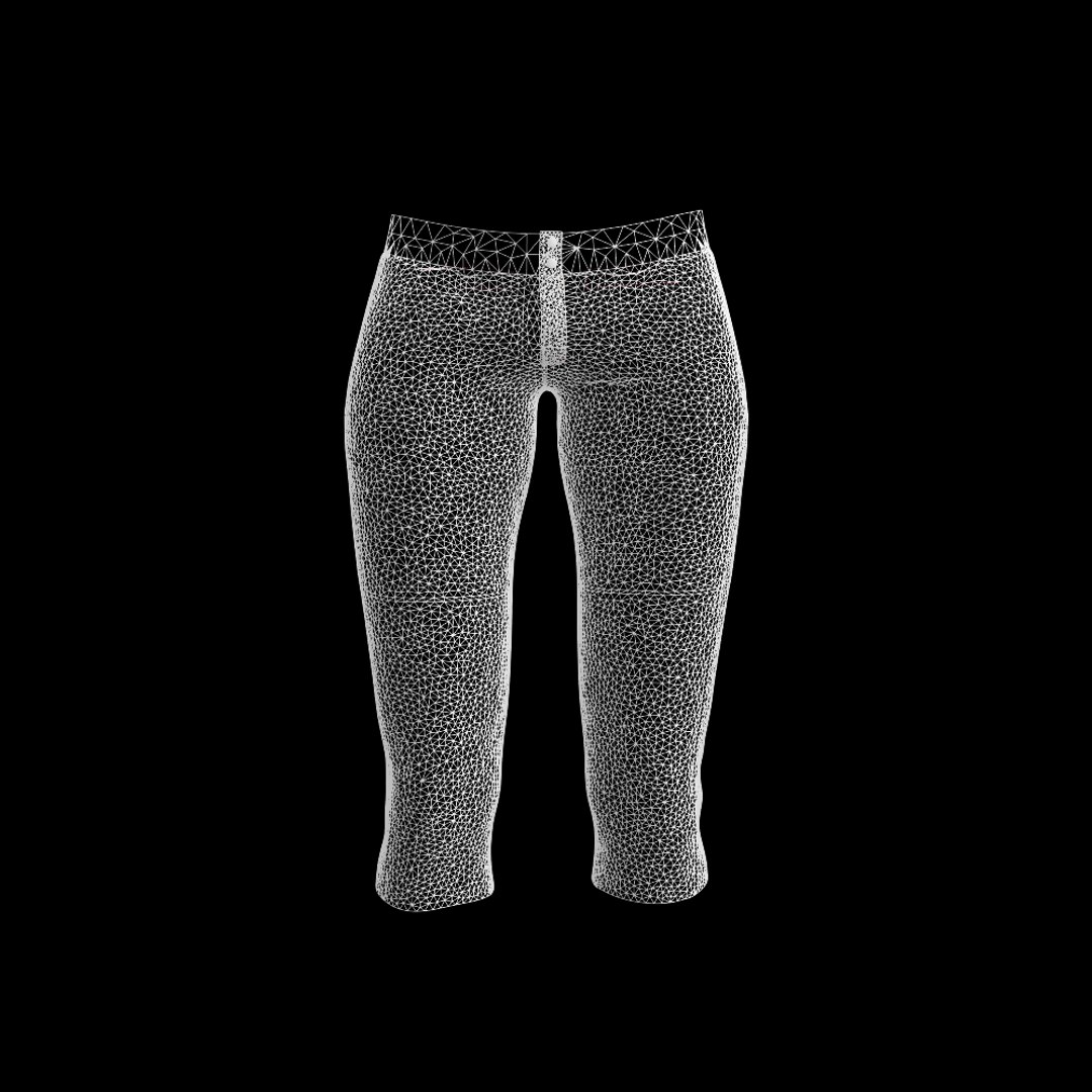 Women pants 3D model - TurboSquid 1375096