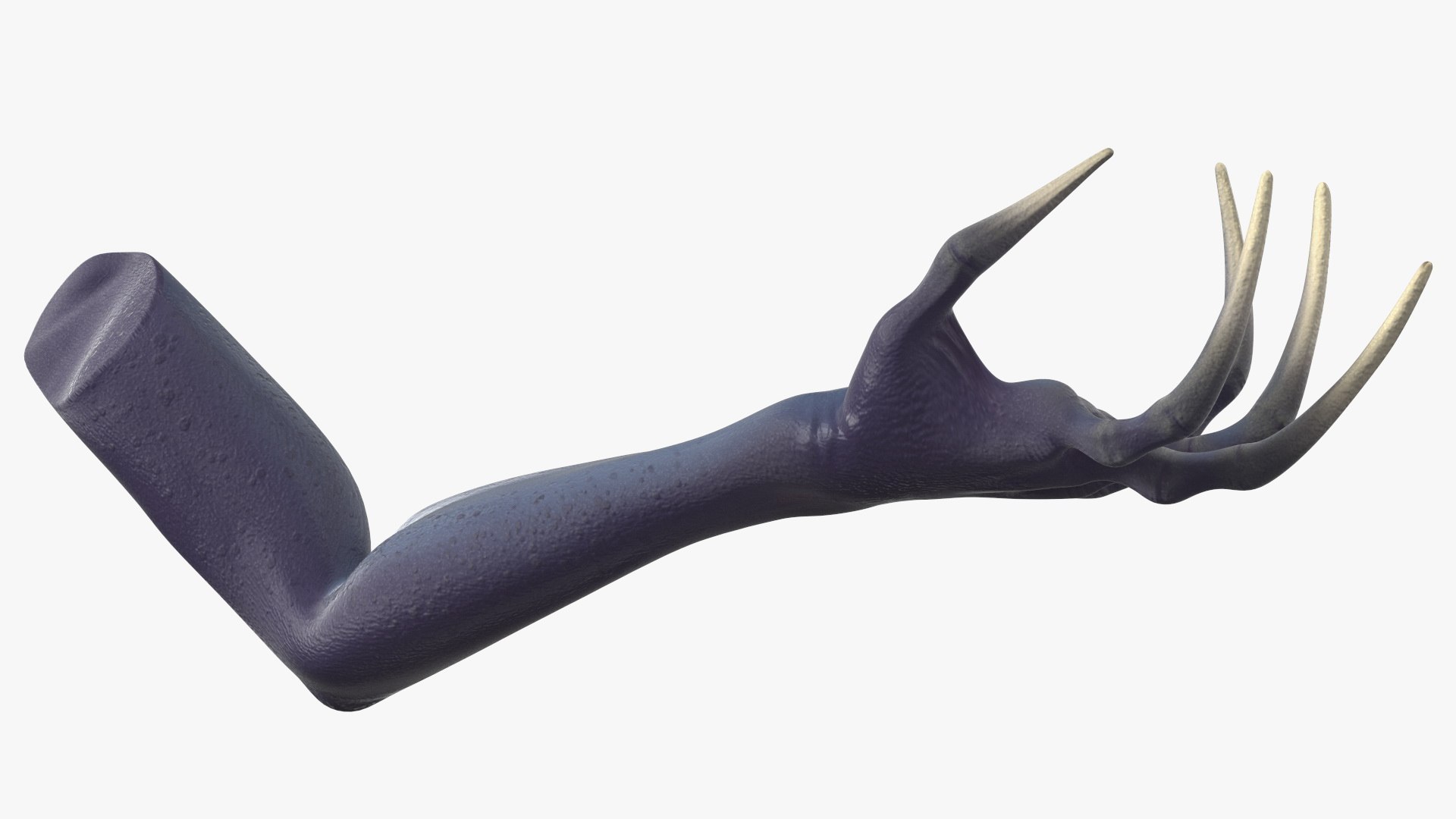 3D model scary creature arm - TurboSquid 1703090