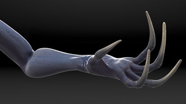 3D model scary creature arm - TurboSquid 1703090