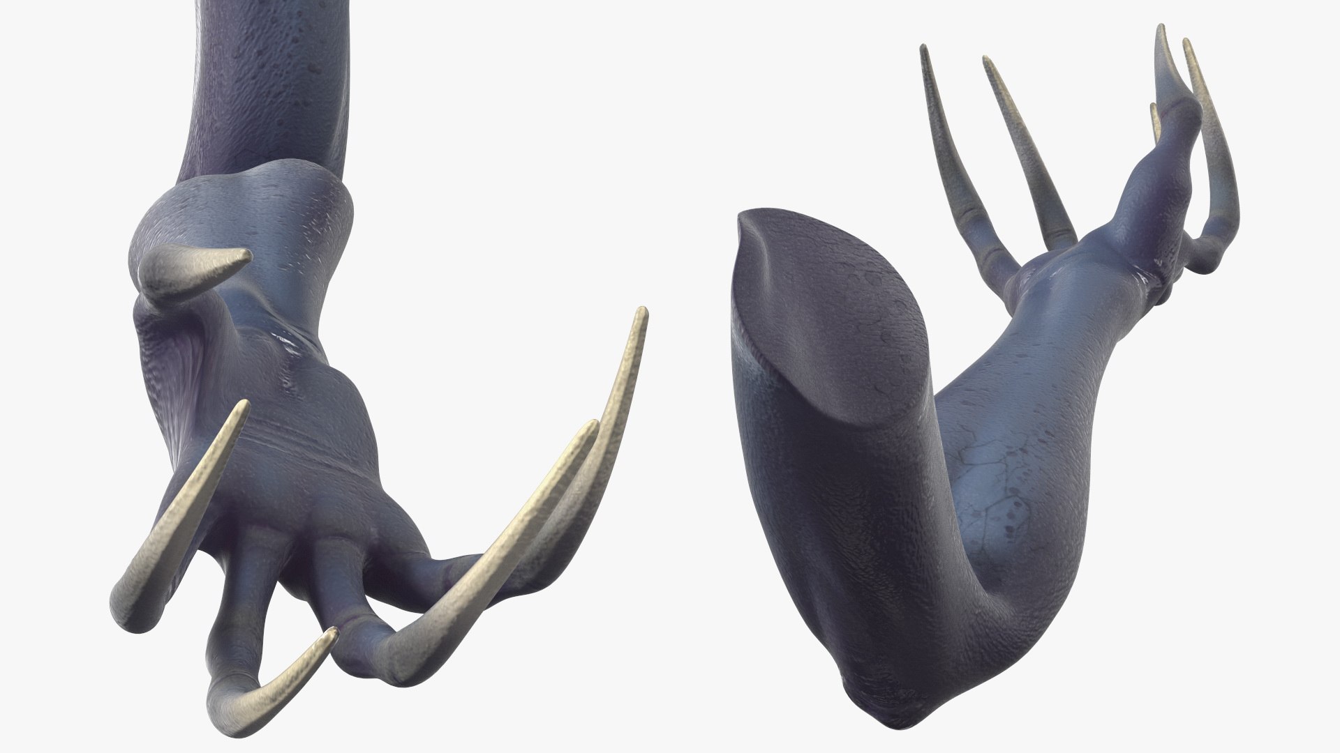 3D model scary creature arm - TurboSquid 1703090