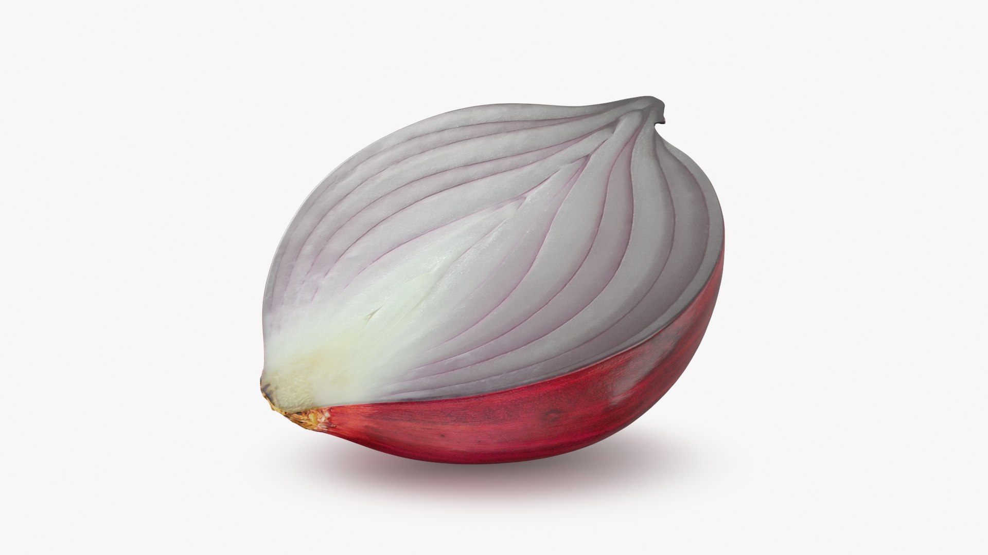 Half A Red Onion 3 Model - TurboSquid 2147014