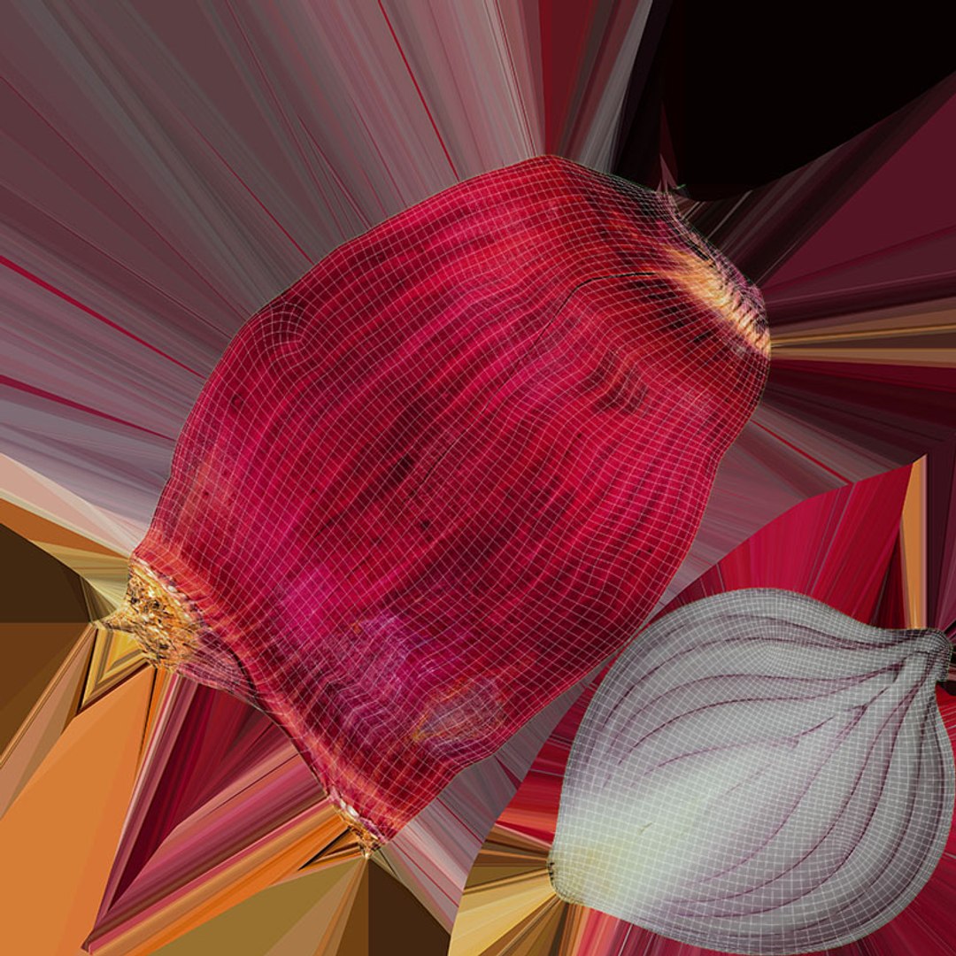 Half A Red Onion 3 Model - TurboSquid 2147014
