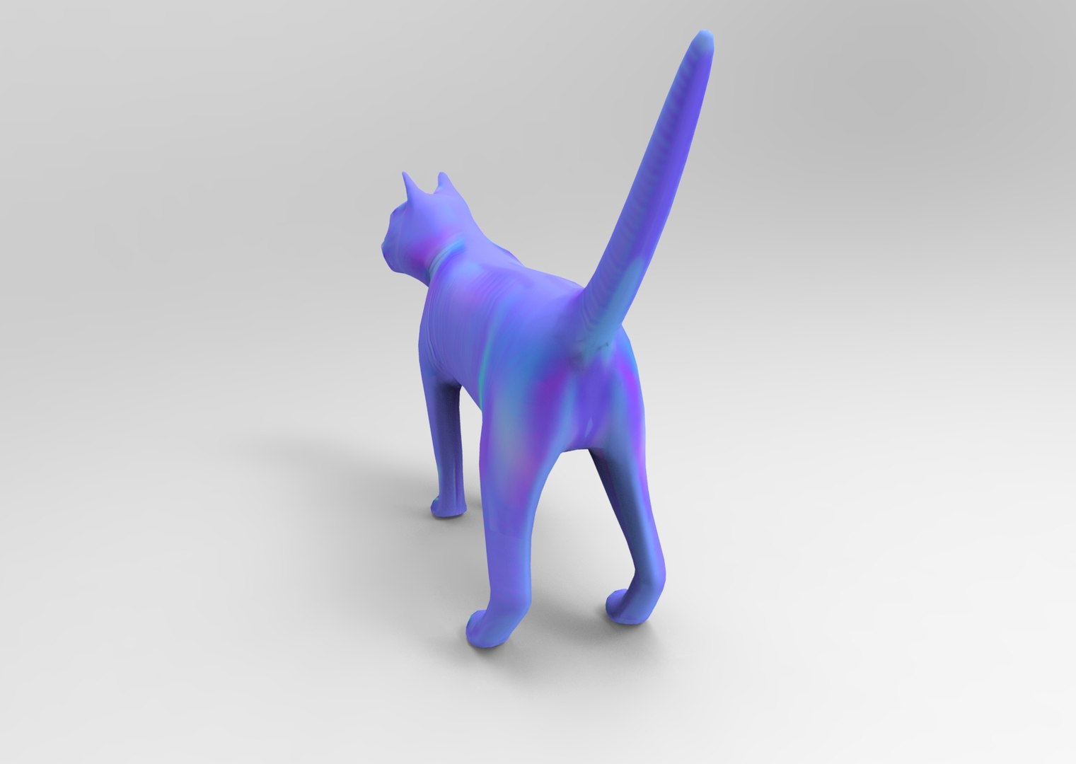 3d Cat Rigged