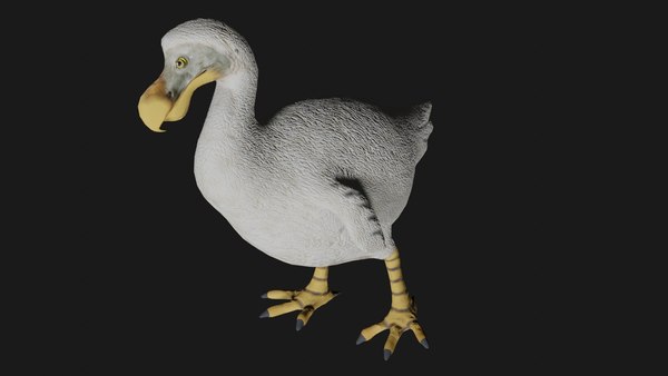 3D realistic dodo bird model - TurboSquid 1681420