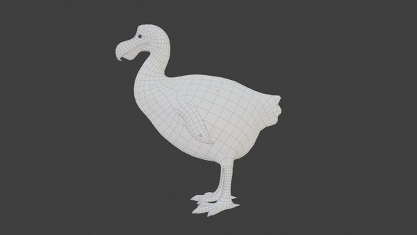 3D realistic dodo bird model - TurboSquid 1681420
