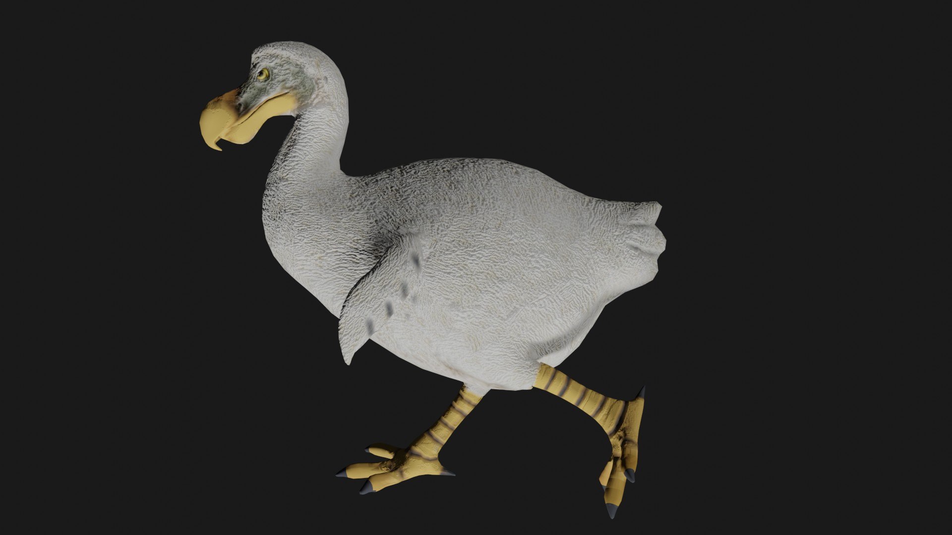 3D Realistic Dodo Bird Model - TurboSquid 1681420