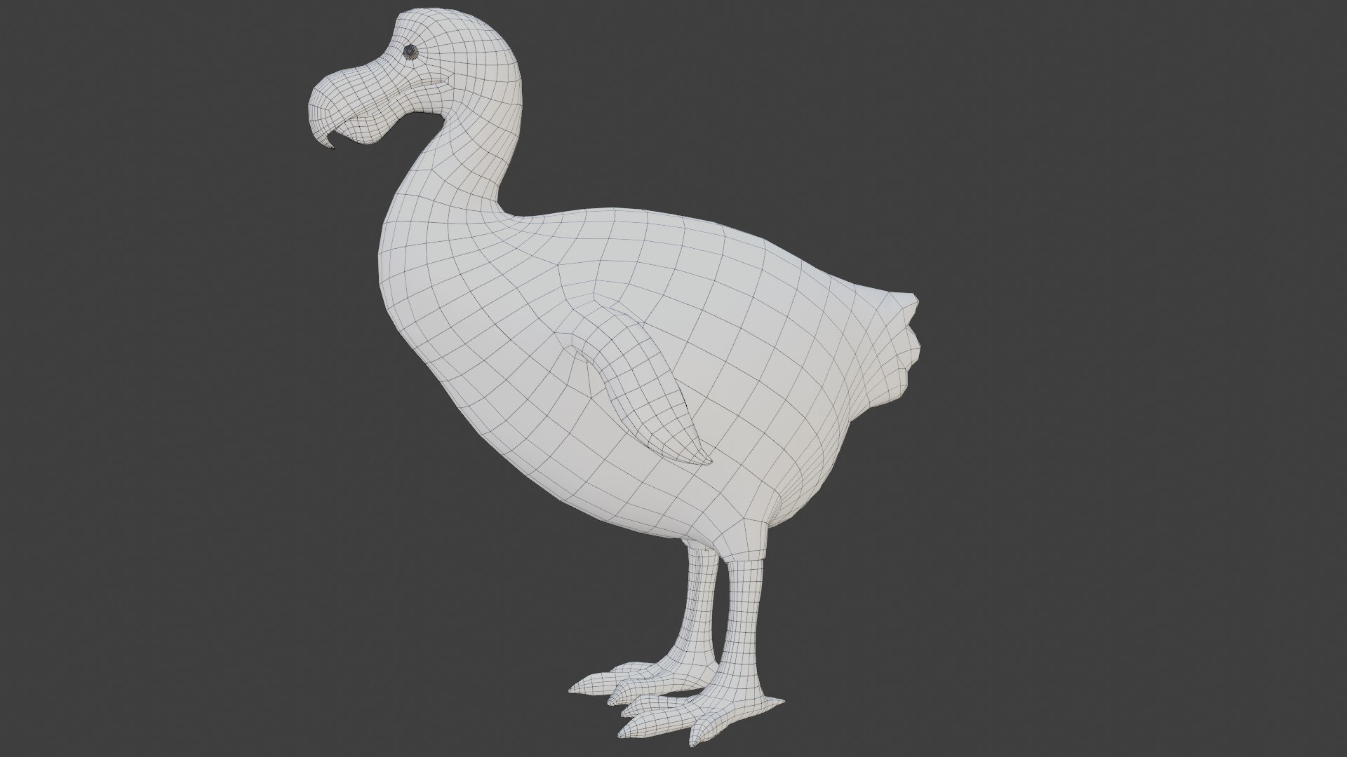 3D Realistic Dodo Bird Model - TurboSquid 1681420