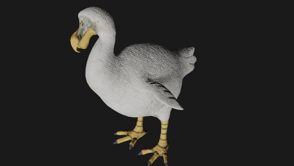 3D realistic dodo bird model - TurboSquid 1681420