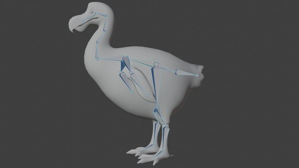3D realistic dodo bird model - TurboSquid 1681420