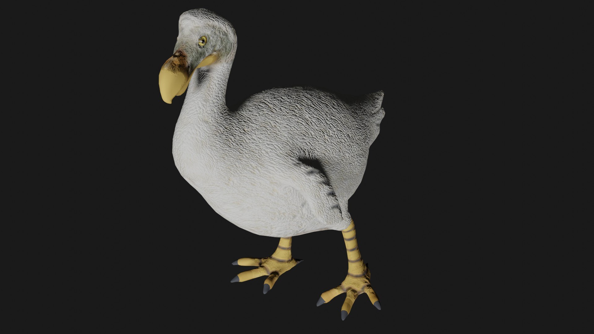 3D Realistic Dodo Bird Model - TurboSquid 1681420