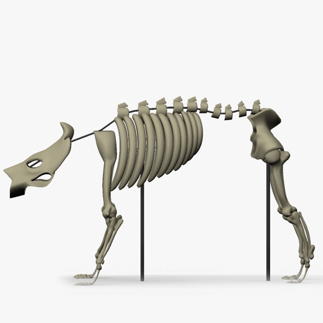 3d ma skeleton beast