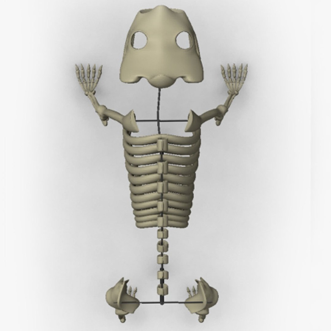 3d ma skeleton beast