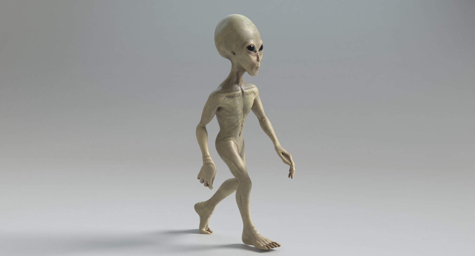 3D rigged alien animation - TurboSquid 1332682