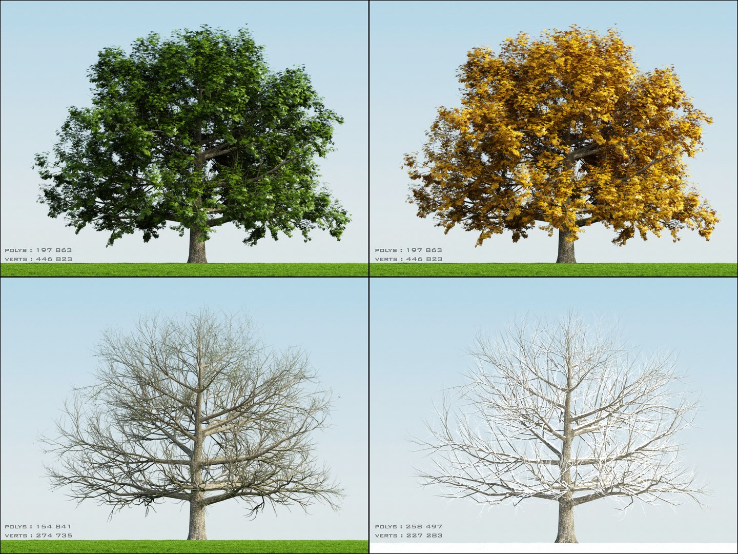 3dsmax 4 Season Tree Oak002