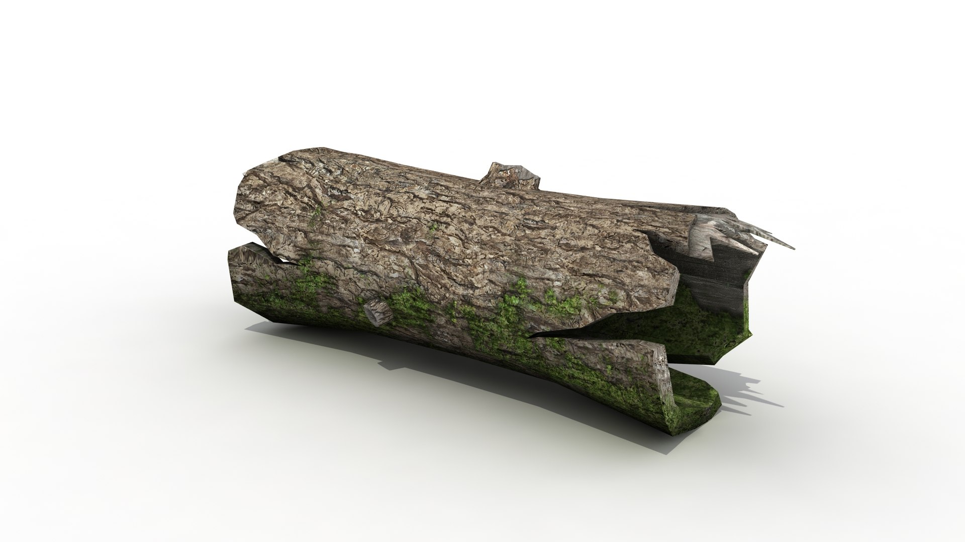 x old tree trunk maple