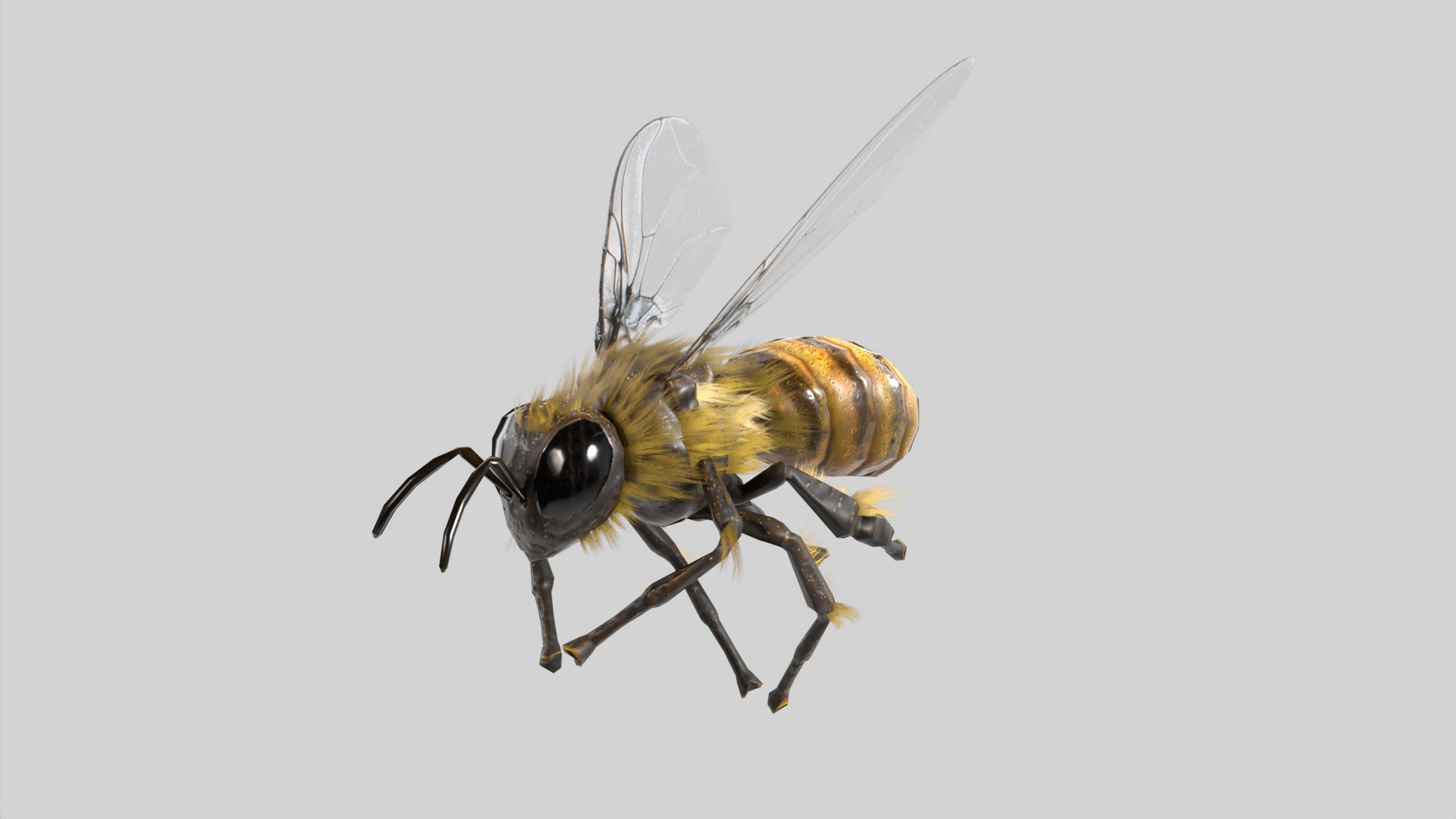 3D Model Bee Lowpoly Rigged - TurboSquid 2167453