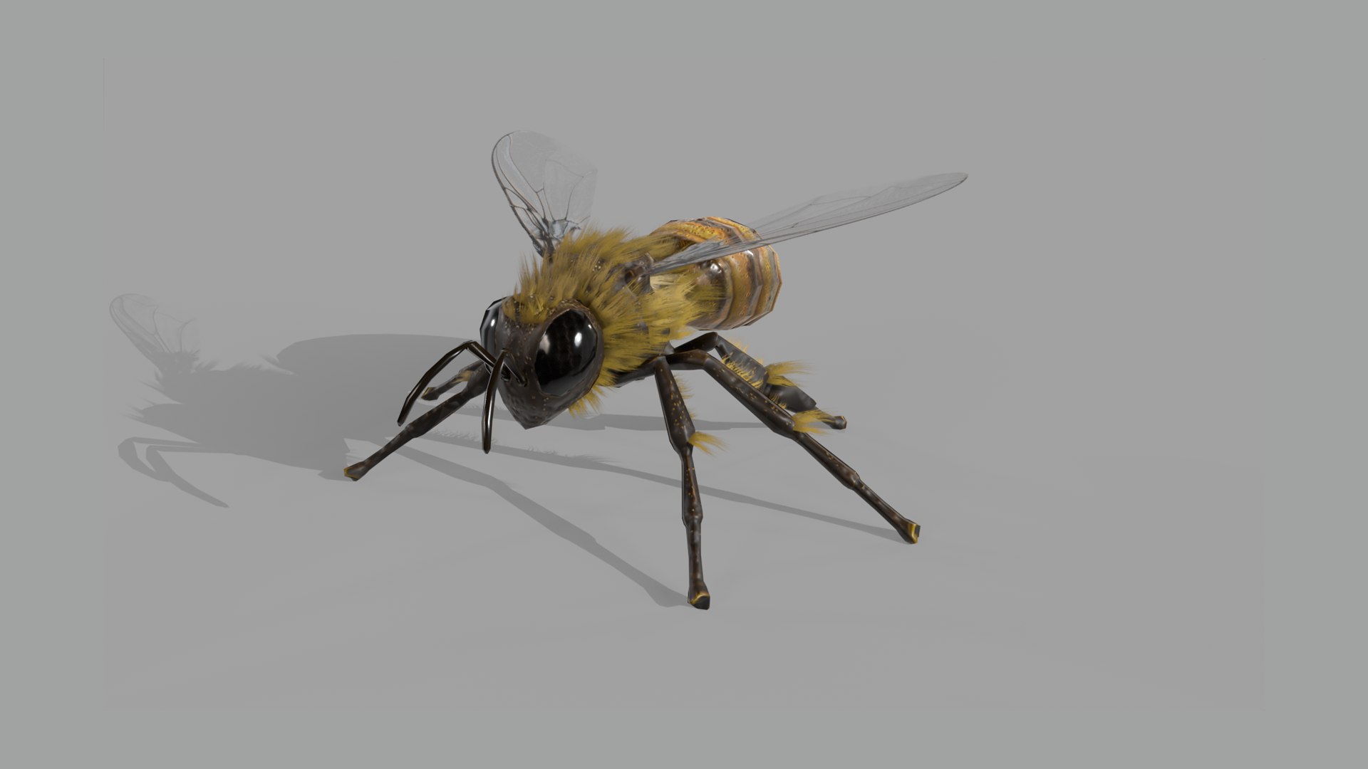 3D Model Bee Lowpoly Rigged - TurboSquid 2167453