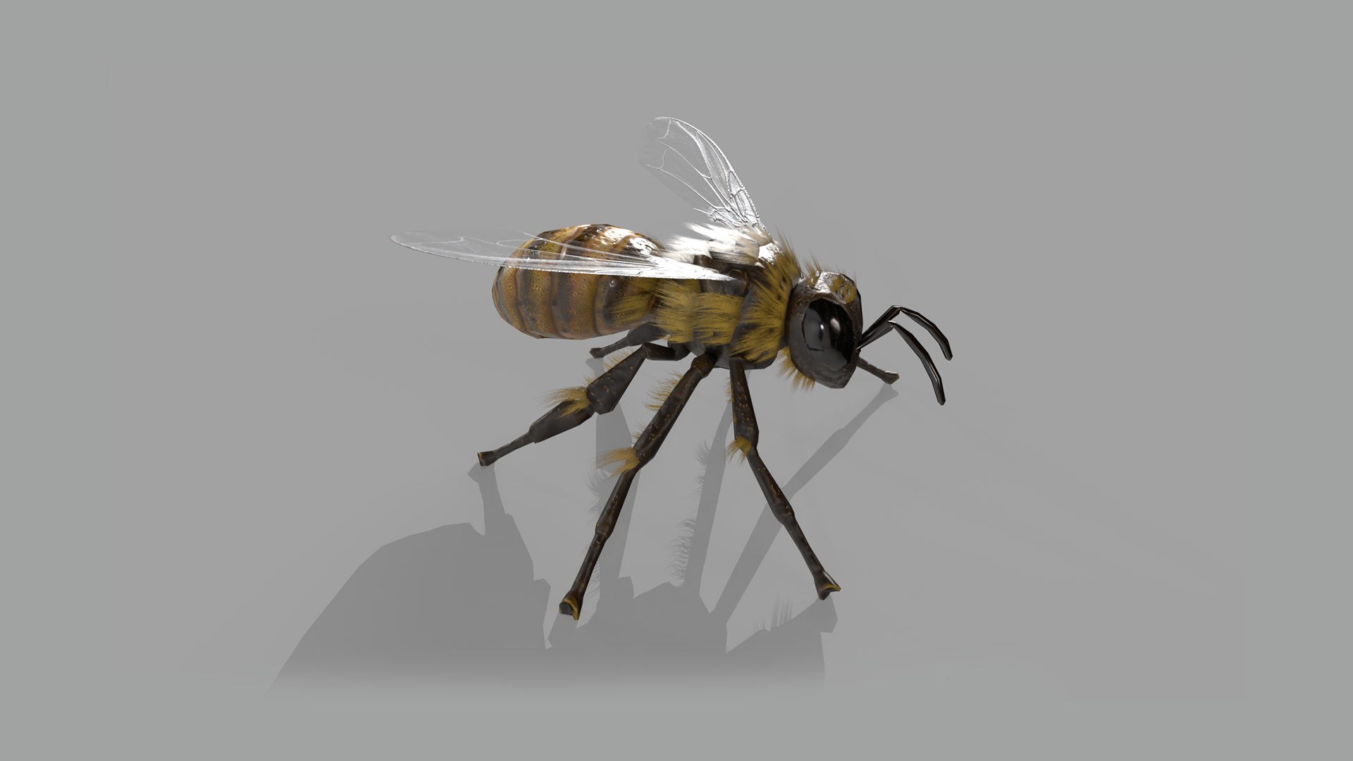 3D Model Bee Lowpoly Rigged - TurboSquid 2167453
