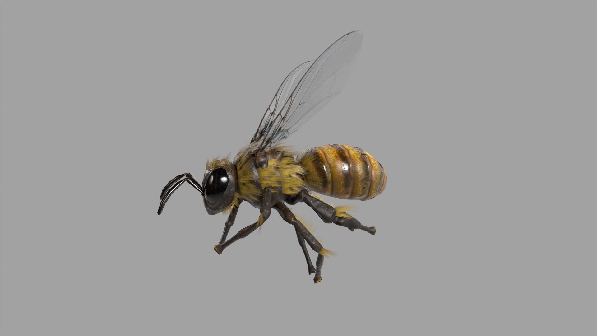 3D Model Bee Lowpoly Rigged - TurboSquid 2167453