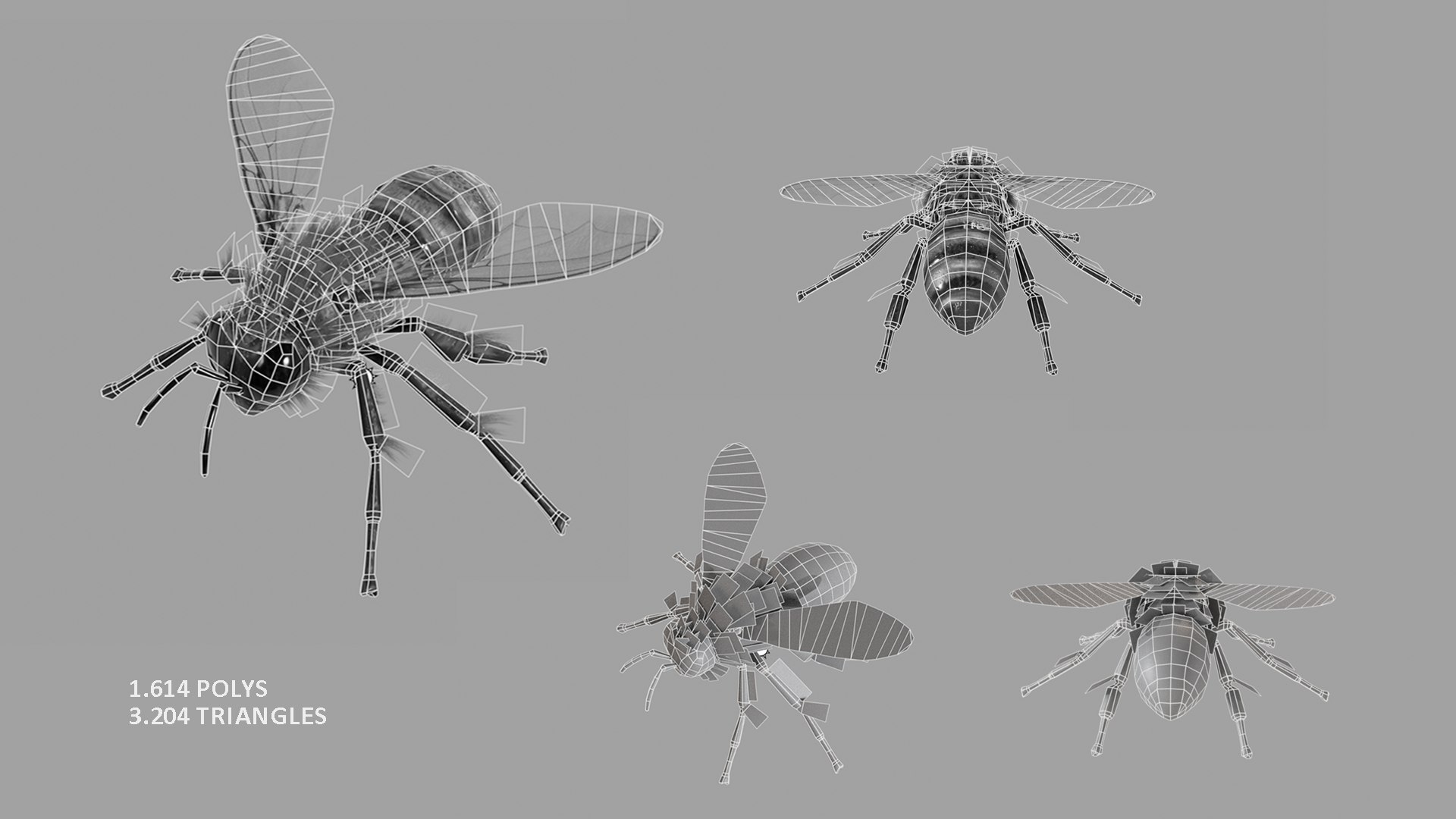 3D Model Bee Lowpoly Rigged - TurboSquid 2167453