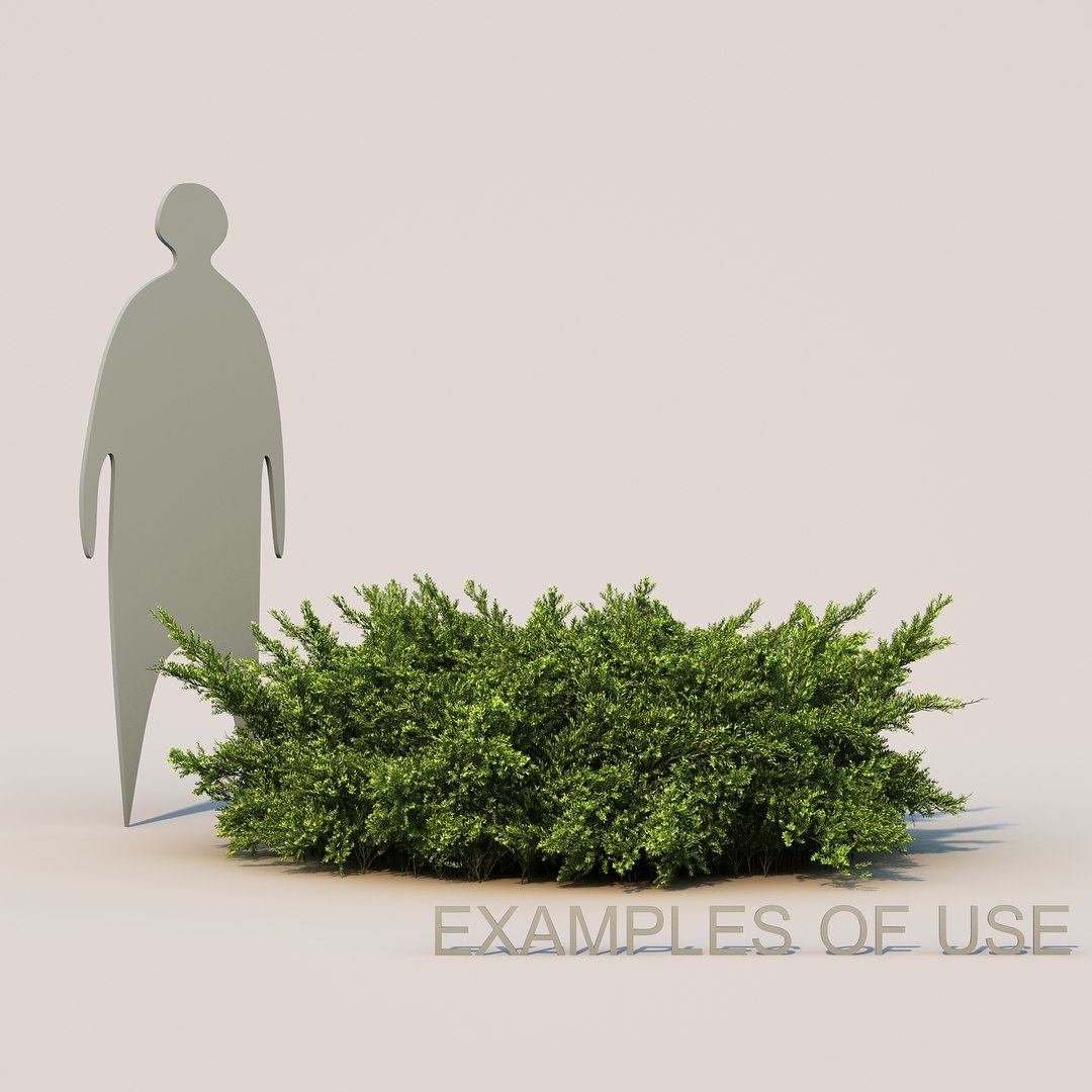 3D Model Tree Scatter - TurboSquid 1218467