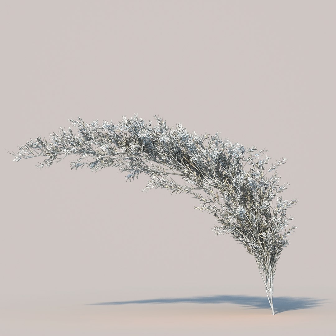 3D Model Tree Scatter - TurboSquid 1218467