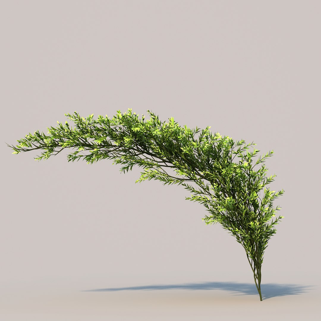 3D Model Tree Scatter - TurboSquid 1218467