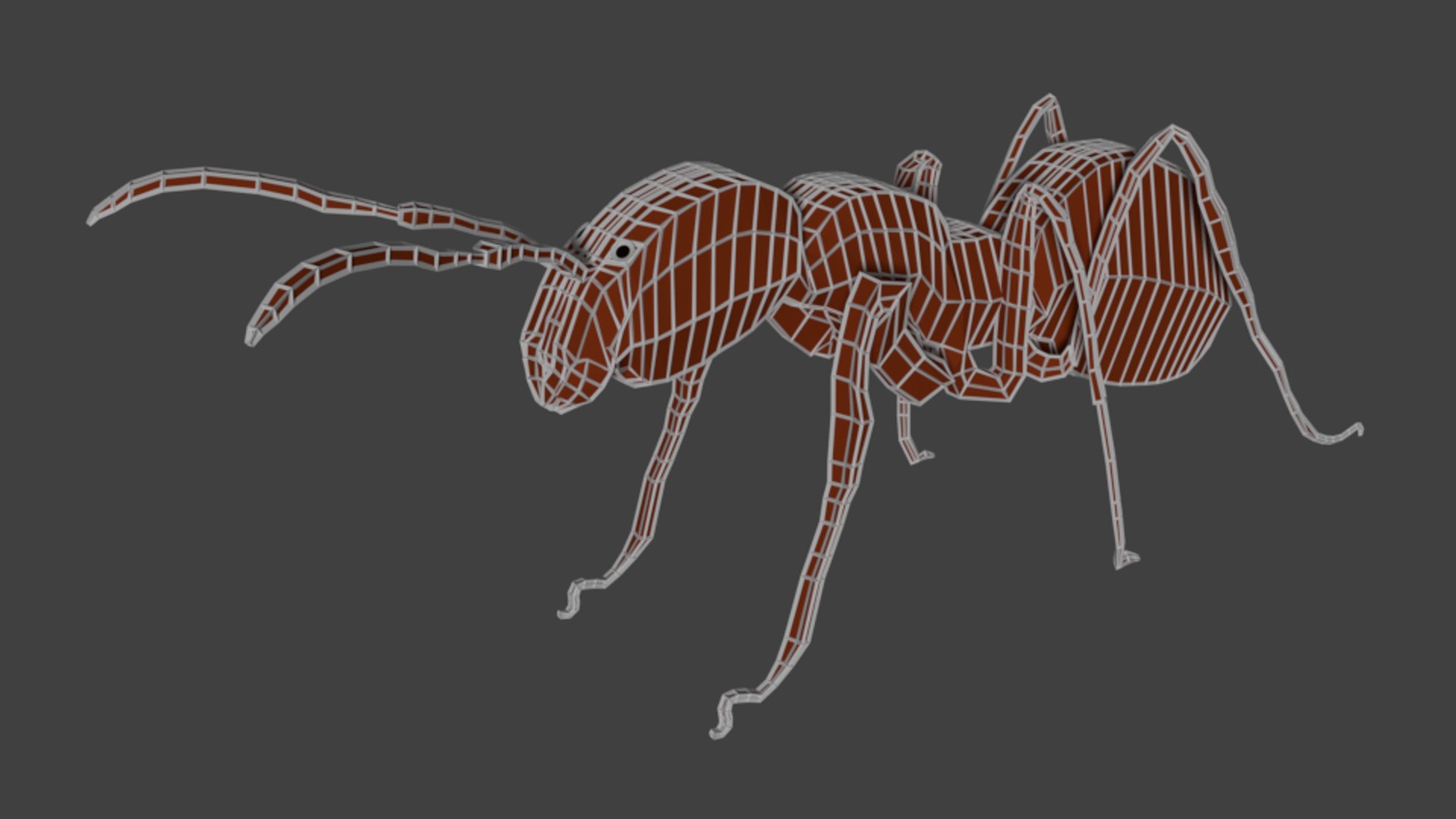 3D Ant Insects Animals Model - TurboSquid 1375027