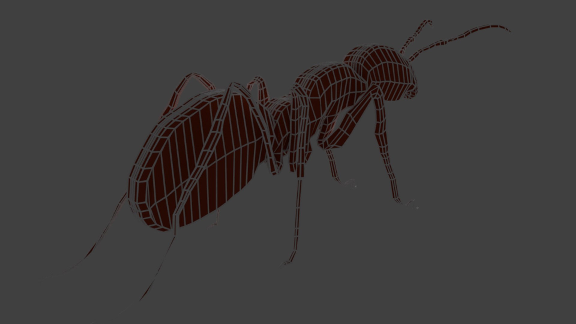 3D Ant Insects Animals Model - TurboSquid 1375027