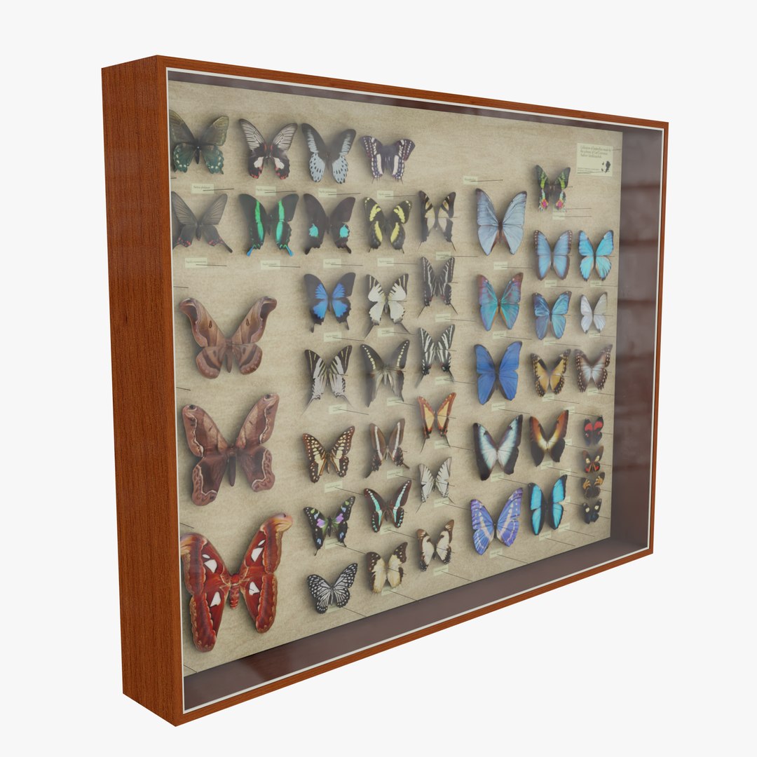 Butterflies 3d Max
