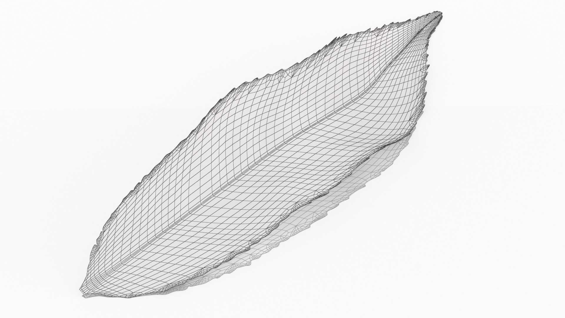 3D Tea Leaf - TurboSquid 1886048