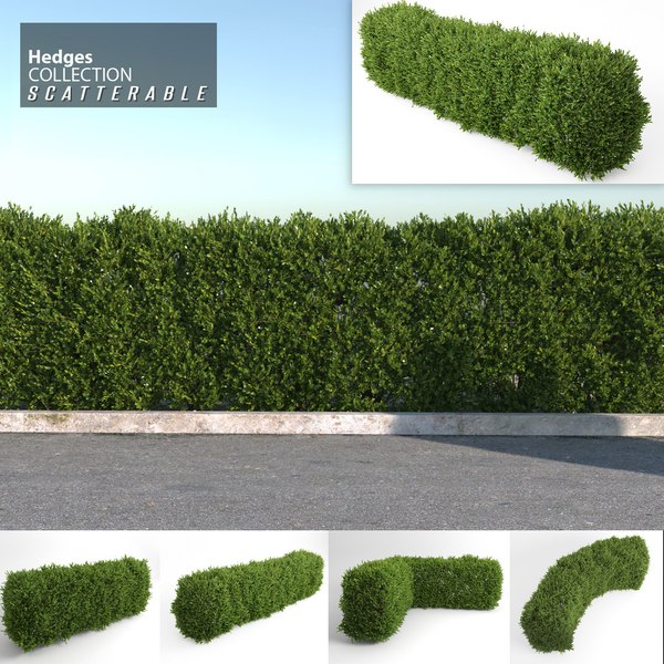 realistic hedges max