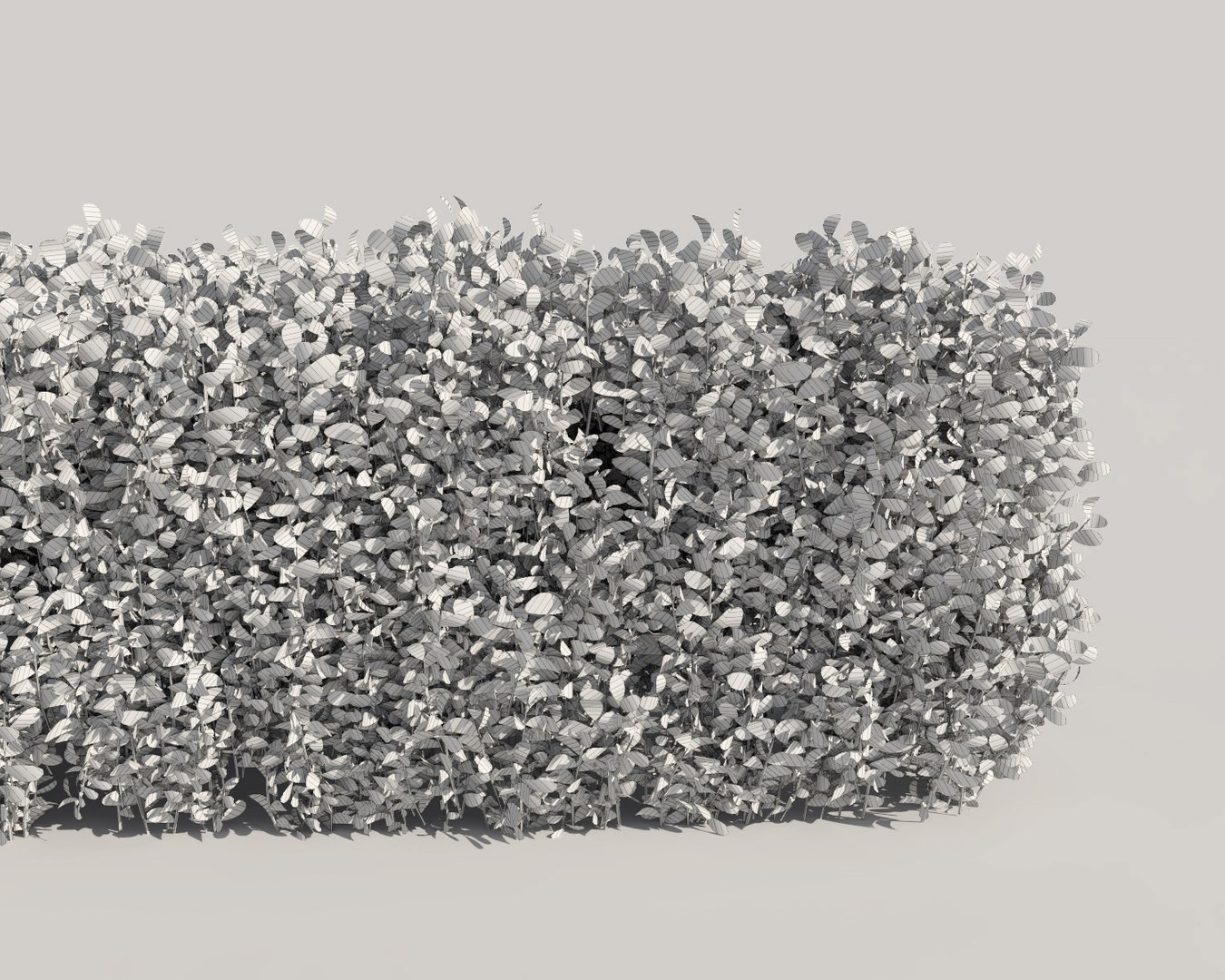 realistic hedges max