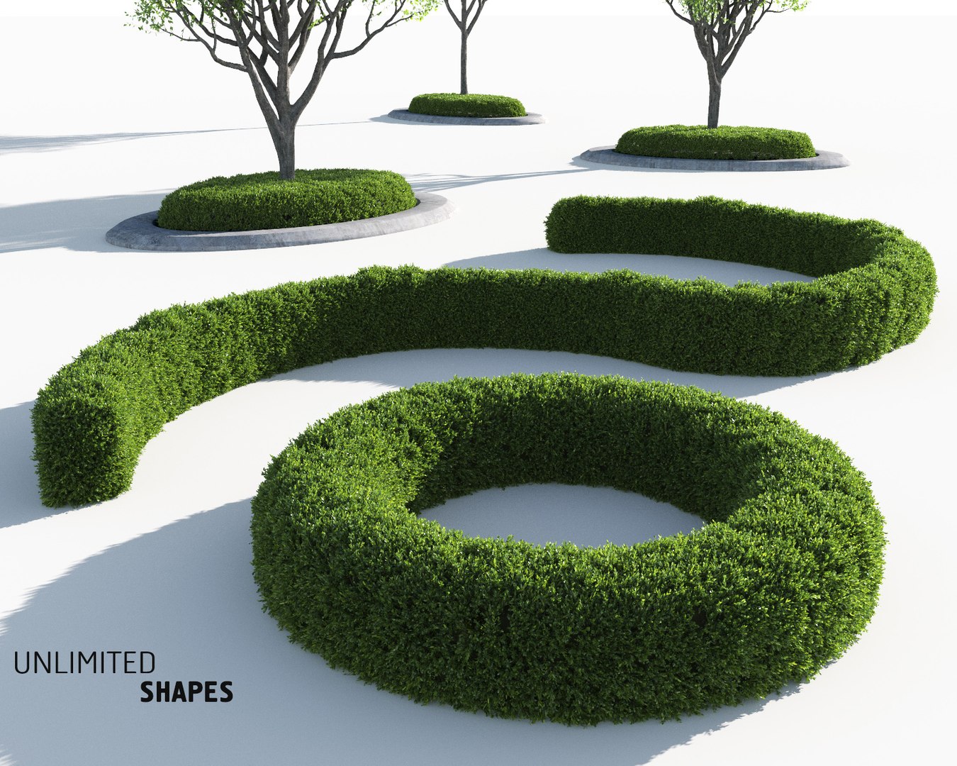 realistic hedges max