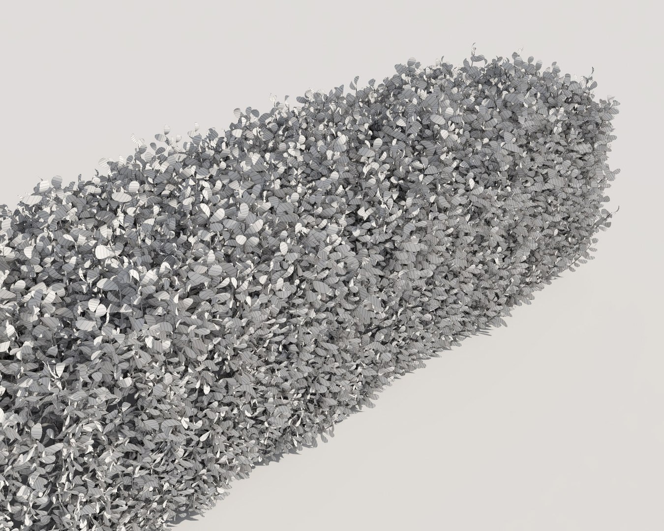 realistic hedges max