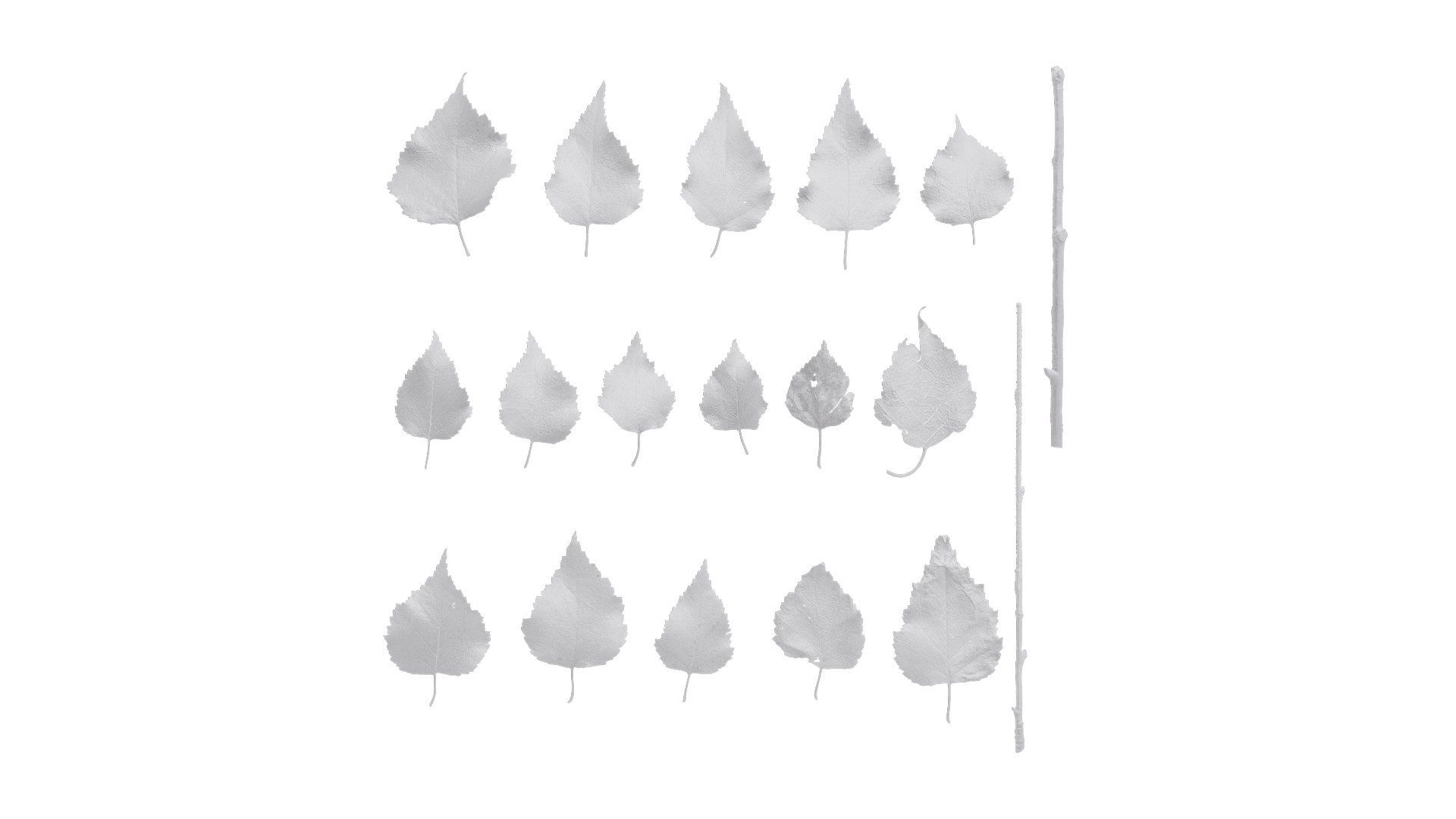 Anydrafts Birch Tree Texture Pack 3D - TurboSquid 2343685