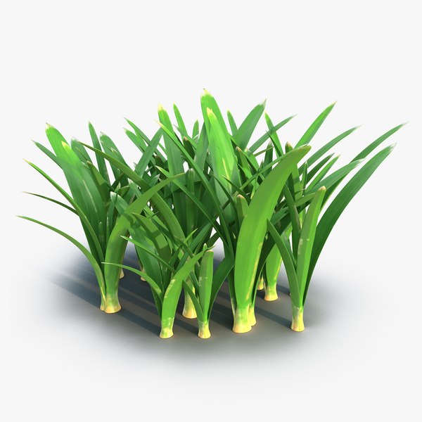 Maya Grass Models | TurboSquid
