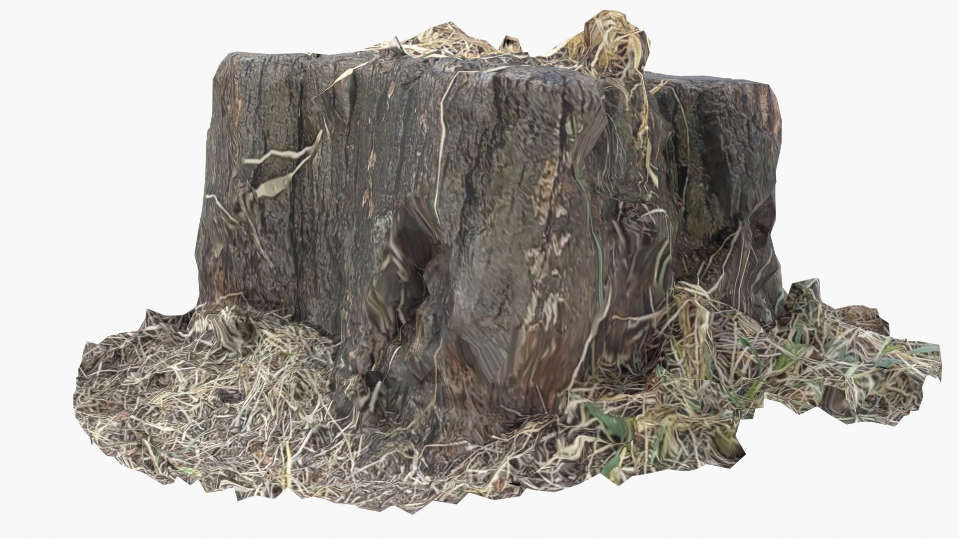 3D Tree Stump 3 Model - TurboSquid 2009831