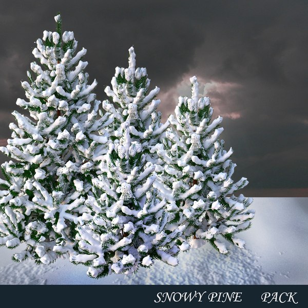 Snow Tree 3D Models for Download | TurboSquid