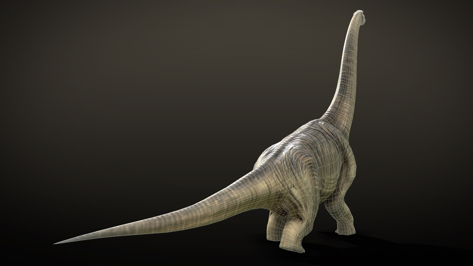 Rigged Brachiosaurus Animations 3D Model - TurboSquid 1376211